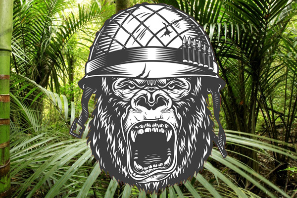 TomatoCube - Hobbyist & Maker Workshop