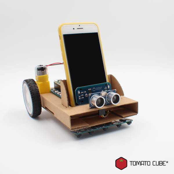 Robotics Kit for Raspberry® Pi Pico – Tomato Cube